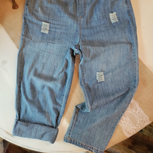Jaded Gypsy | Jeans | Cottagecore Willow Creek Crop Pants | Poshmark